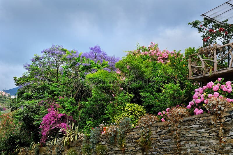 Garden with a Cascade of Colorful Spring Trees Stock Image - Image of ...