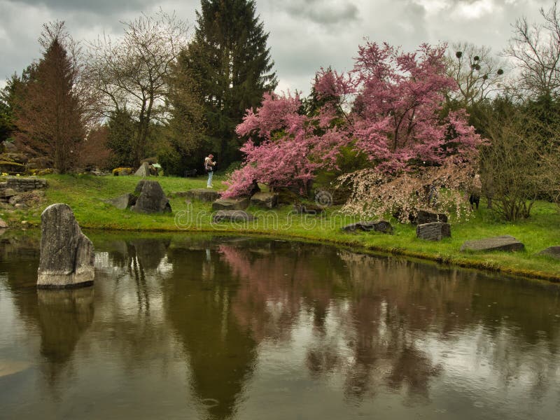 Garden of a cloudy spring. stock image. Image of poland - 217820493
