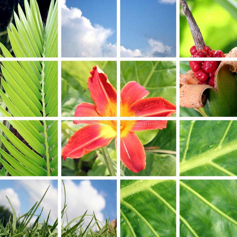 1,571 Smell Collage Stock Photos - Free & Royalty-Free Stock Photos ...