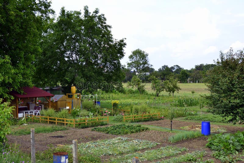 Garden Colony with Orchard of Fruit Trees and Vegetables Stock Image ...