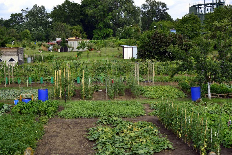 Garden Colony with Orchard of Fruit Trees and Vegetables Stock Photo ...