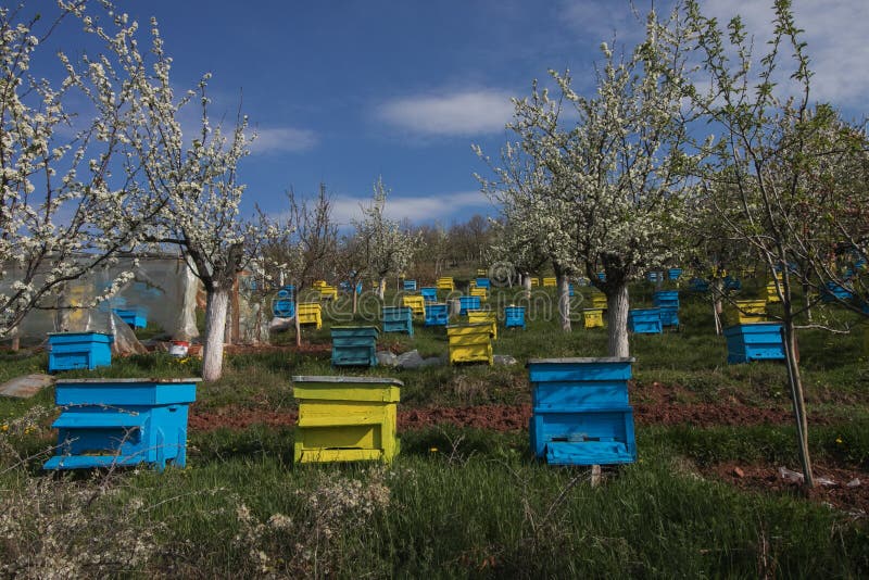 Colorful Beehives of a Wandering Beekeeper #1 Stock Photo - Image of ...