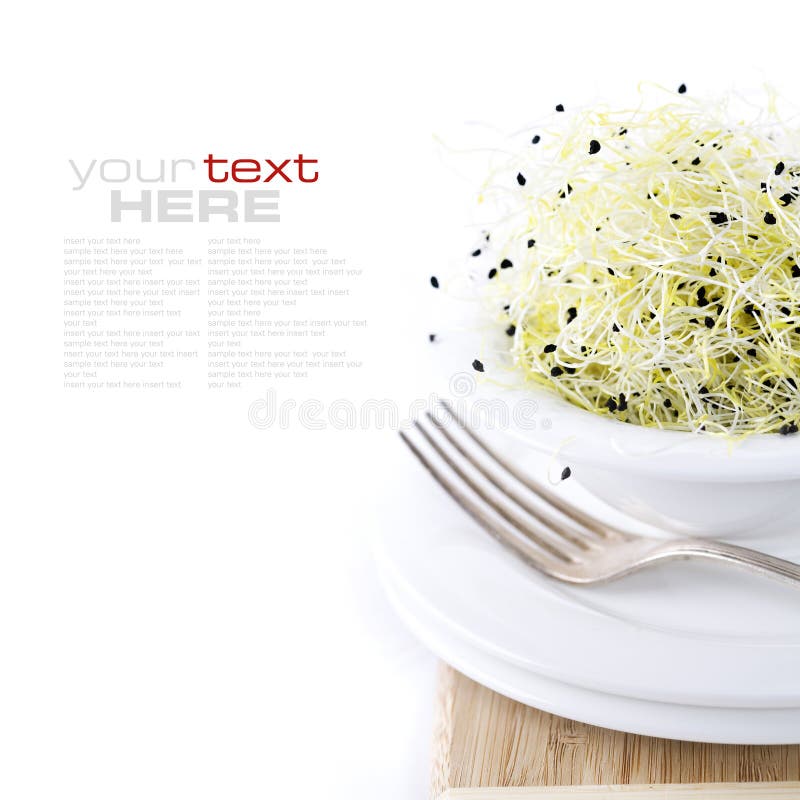 Garden cress stock photo. Image of cress, vegetable, salad - 17368118