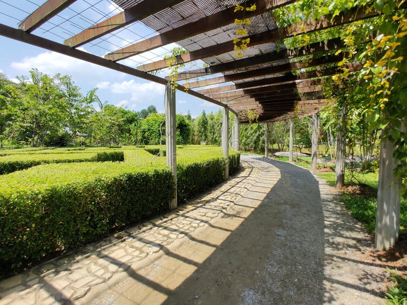 The garden crossing area stock image. Image of shrub - 199982217