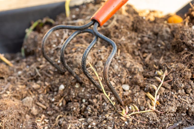 Garden cultivator stock photo. Image of product, tool - 183453698