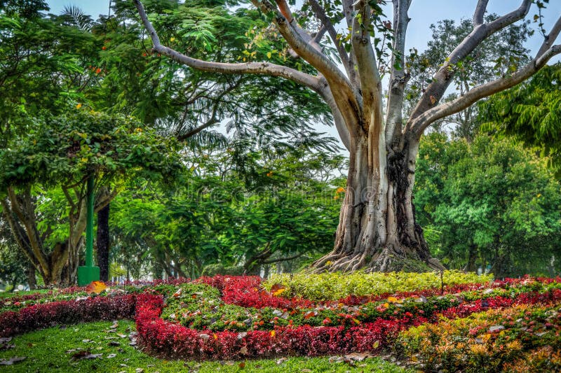 Garden Decoration with Flowers and Big Tree Stock Photo - Image of ...