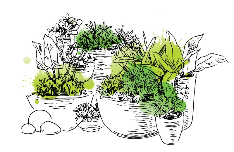 Garden elements sketch stock vector. Illustration of field - 59675849