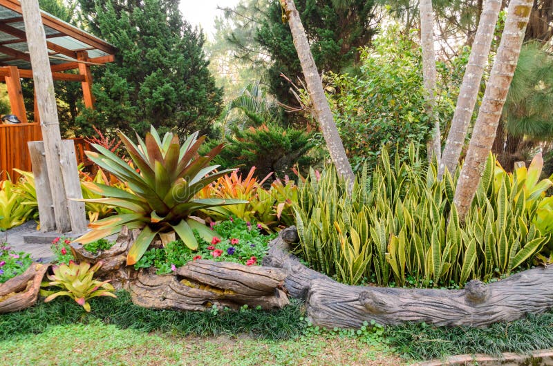 Garden designs stock photo. Image of landscape, garden - 72333028