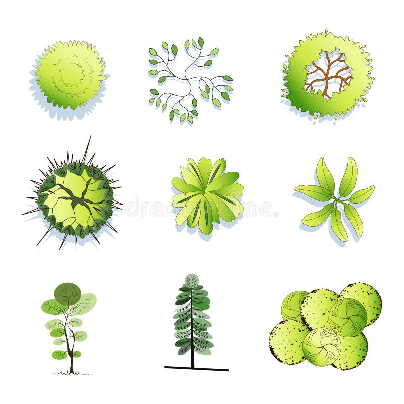 A Set of Bushes. Garden Elements Stock Illustration - Illustration of ...