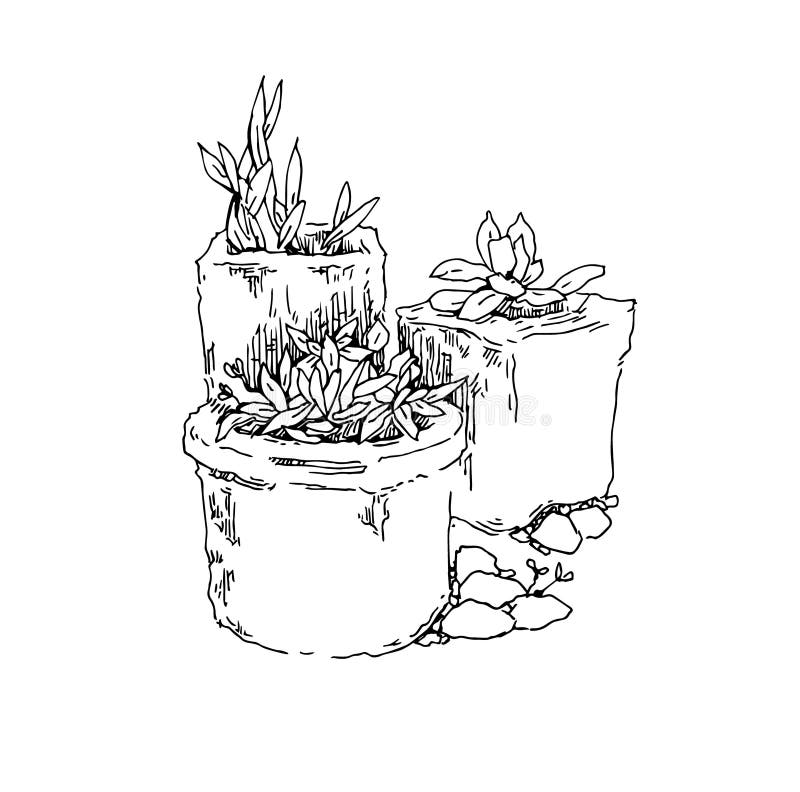 Garden elements sketch stock illustration. Illustration of decoration ...