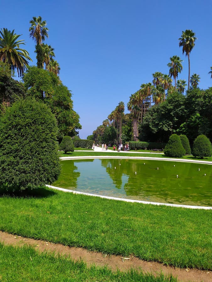 Garden Elhama Algeria Africa Stock Image - Image of plant, tree: 202626429