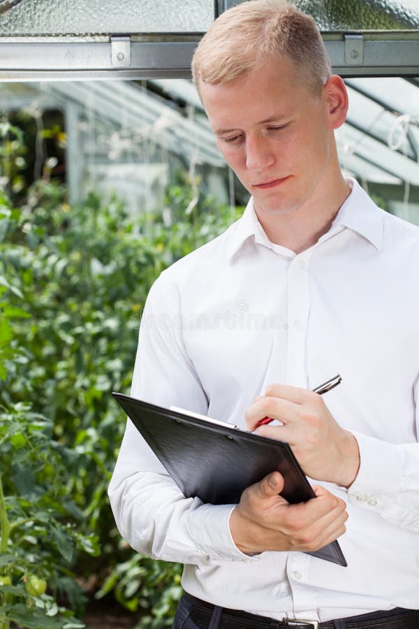 Garden Expert in Greenhouse Stock Photo - Image of person, nature: 43021836