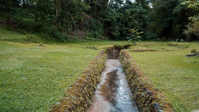 Drainage System in the Garden, Natural Drainage in the Open Stock Photo ...