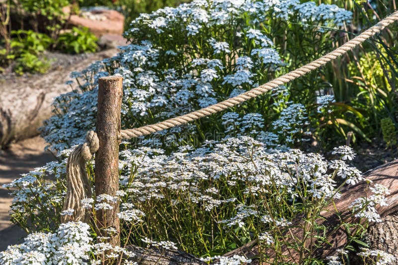 Garden Fence Made of Wooden Posts and Ropes Stock Image - Image of edge ...