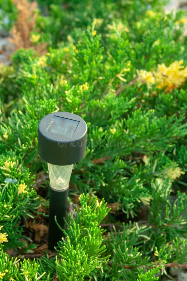 Garden flashlight stock image. Image of grass, material - 131327923
