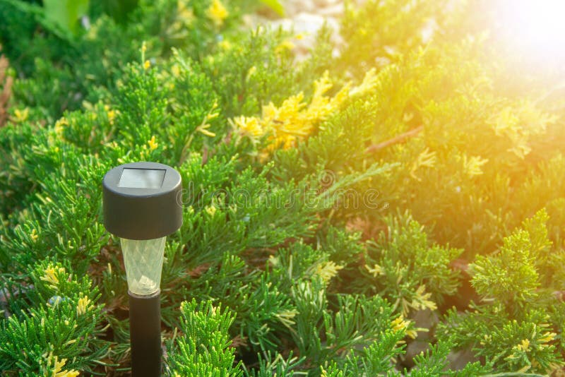 Garden flashlight stock image. Image of decor, flowers - 131328015