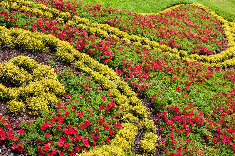 Garden flower bed stock image. Image of detail, colored - 82783023