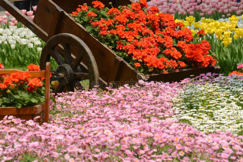 Garden with Flower Carriage Stock Photo - Image of carriage, field ...