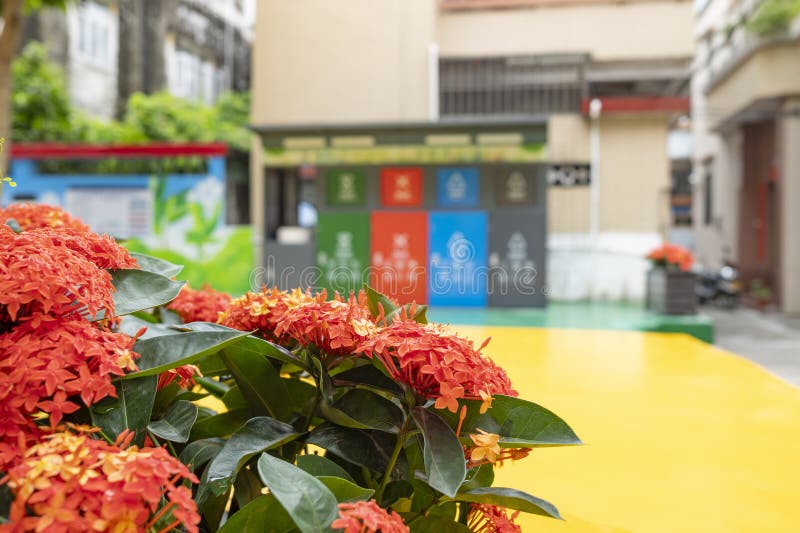A Garden with Flowers and Different Colors Litter Bins for Garbage ...