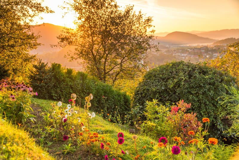 Garden with Flowers in a Sunset Stock Image - Image of blossom ...