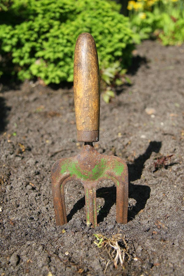Garden fork stock photo. Image of flower, dirt, compost - 14467842