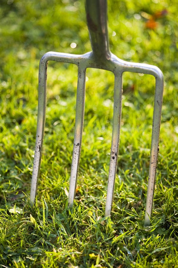 Garden fork in lawn stock photo. Image of steel, fork - 23517942
