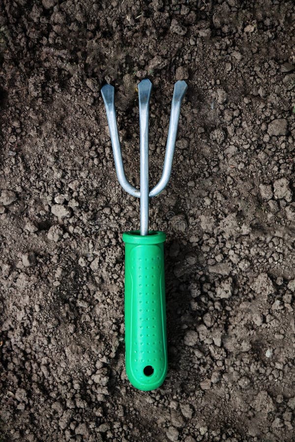 Garden Fork, Rake Lying on the Ground, Top View, Close-up Stock Photo ...
