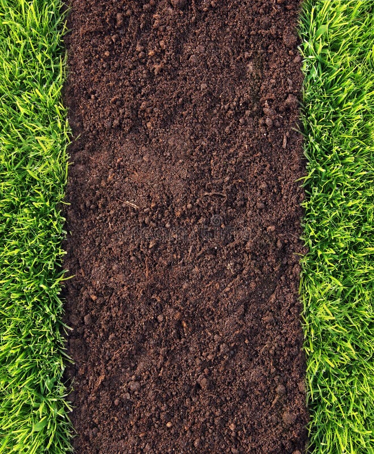 Garden frame stock photo. Image of pasture, healthy, vitality - 9758428