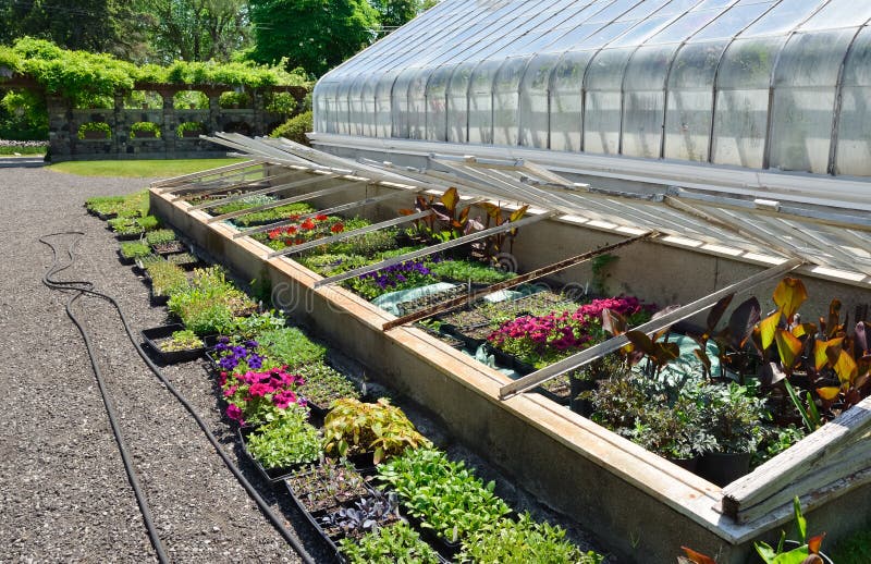 Garden Frames stock photo. Image of flower, ground, germinate - 25003200