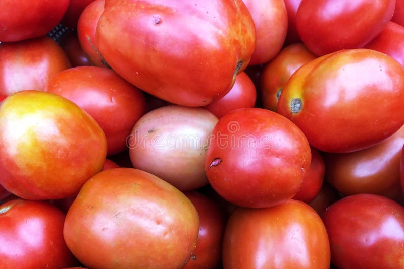 The Red Tomato for a High Spot Stock Photo - Image of ingredient ...