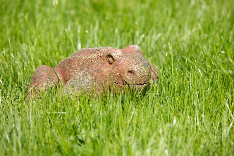 Garden frog stock photo. Image of style, nature, stone - 14406452