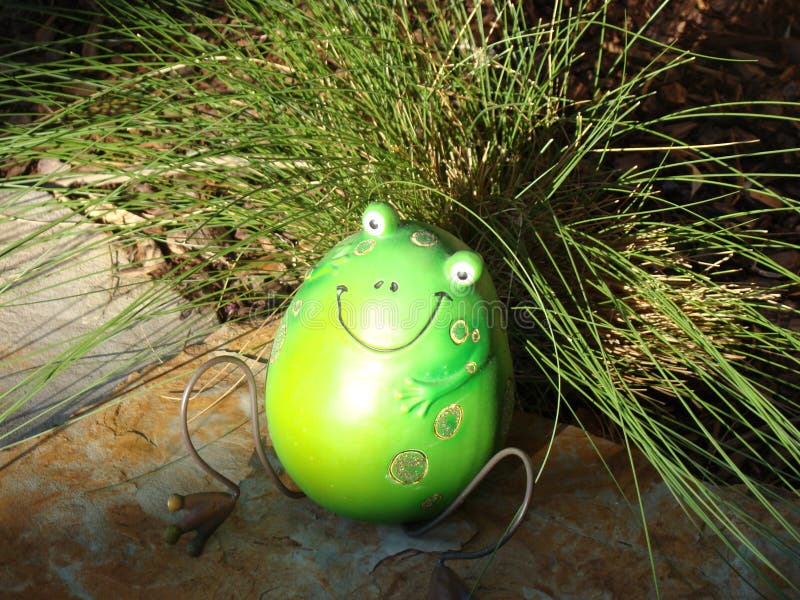 Garden Frog stock photo. Image of smallfrogs, green, leaves - 98034378