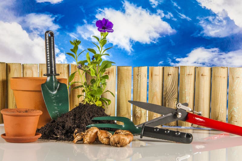 Garden, Gardening Theme with Light Blue Background Stock Image - Image ...