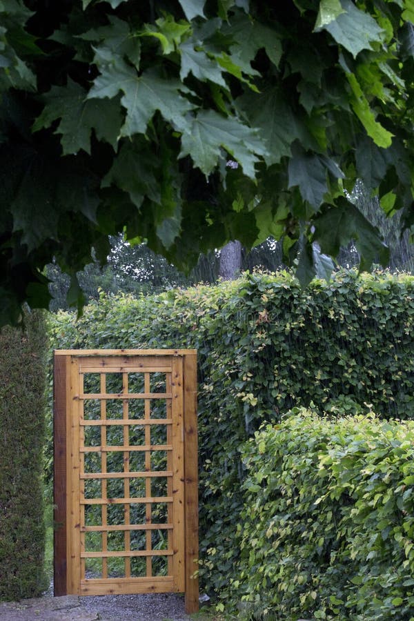 Garden Gate and Hedge stock photo. Image of springtime - 58326310