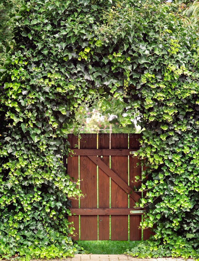 Garden Gate with Ivy Archway Stock Image - Image of landscape, design ...