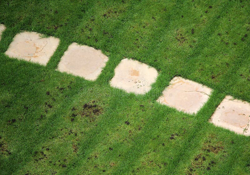 Garden grass path 1 stock photo. Image of greenery, grassland - 84457472