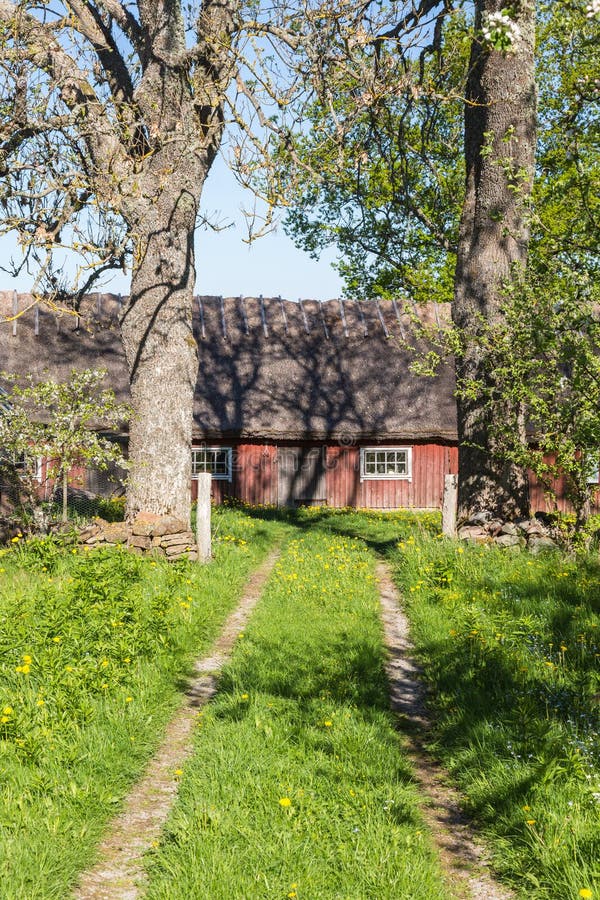 Garden grass road stock photo. Image of garden, rustic - 39218872