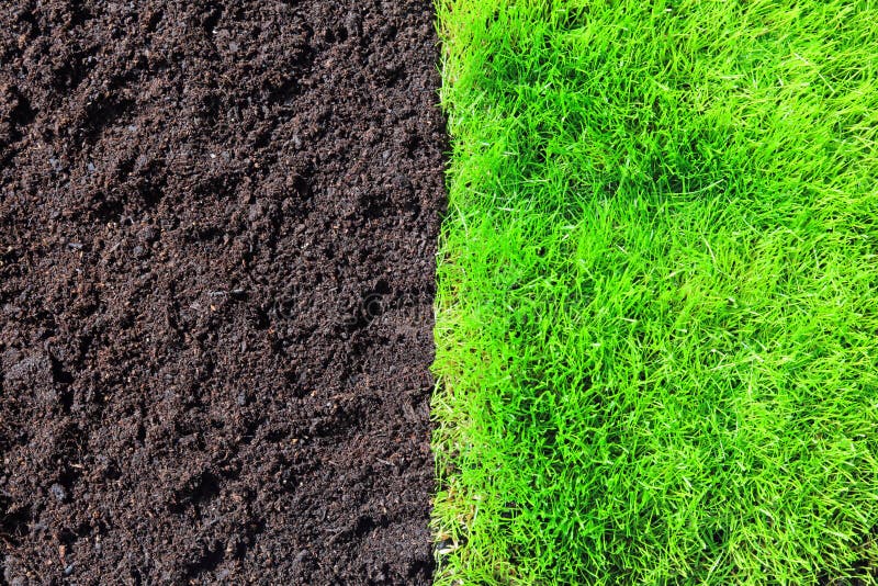 Garden Green Grass and Soil Stock Image - Image of plant, grass: 214568471
