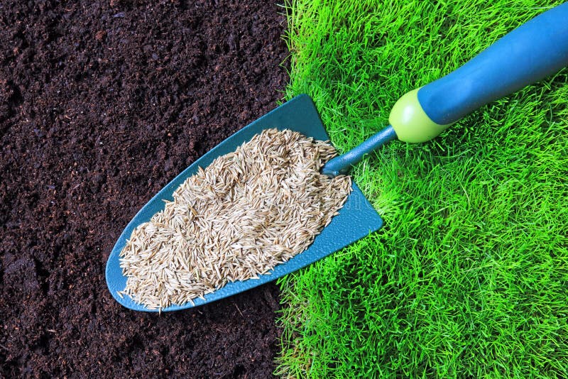 Garden Green Grass and Soil with Garden Trowel Stock Photo - Image of ...