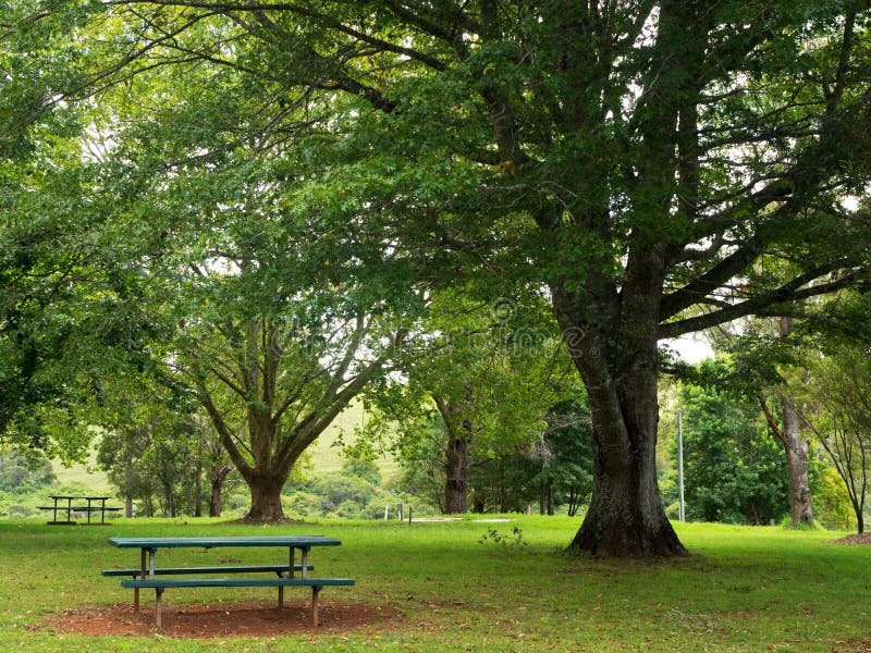 Garden stock photo. Image of tree, outdoor, grow, grass - 56932418