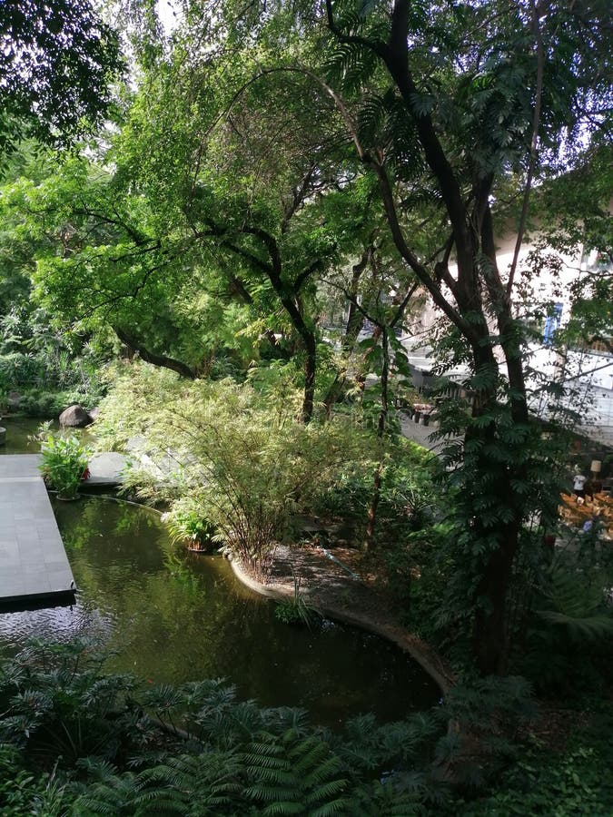 Garden Garden Green Green Manila Nice View Stock Photo - Image of ...