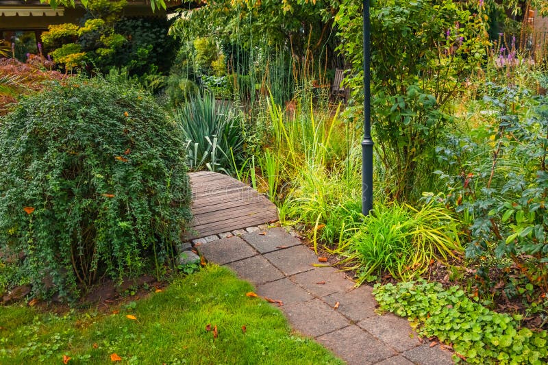 Garden with Green Plants and Small Path Stock Photo - Image of ...