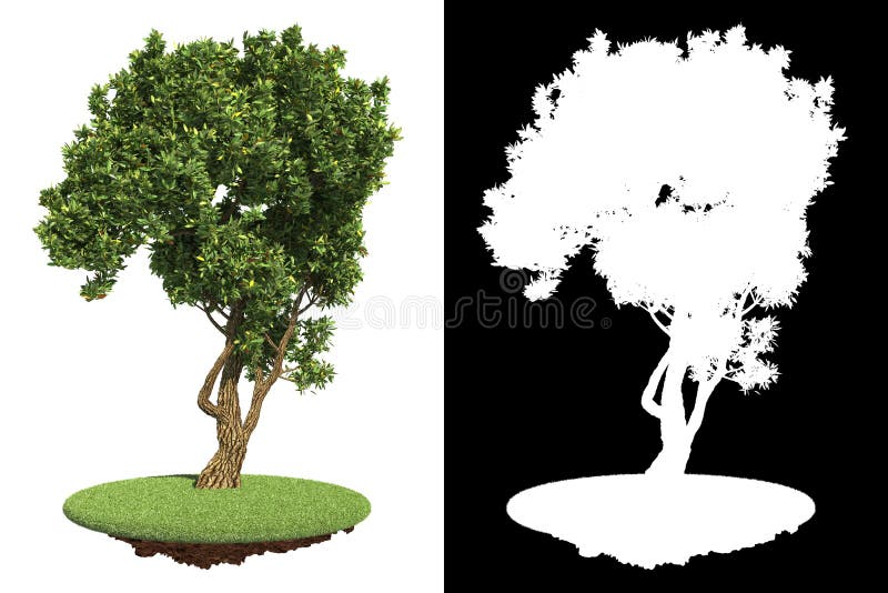 Garden Green Tree with Detail Raster Mask. Stock Illustration ...