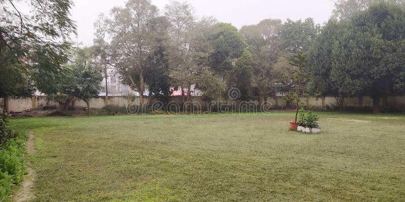 Greenery stock photo. Image of trees, garden, greenery - 140510688