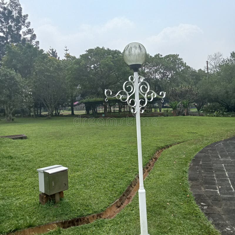 The Garden Gren Steak and Lamp White Gren Grass and Trees Stock Photo ...