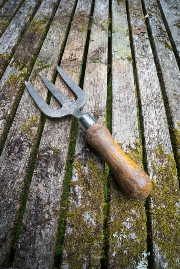 Garden Hand Fork Diagonal on Rustic Table Stock Photo - Image of ...