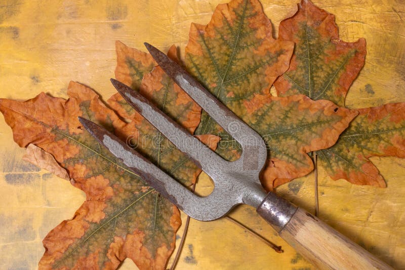 Garden Hand Fork on Fall Leaves Stock Photo - Image of carving, garden ...