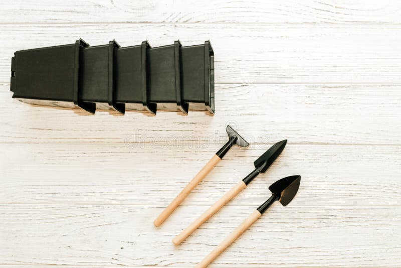 Garden Hand Tools, a Pot with a Seedling Plant. Stock Image - Image of ...