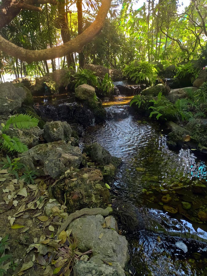 The Garden Has a Small Stream and Shady Trees Stock Image - Image of ...
