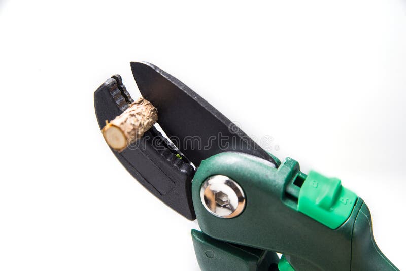 Garden Heavy Duty Scissors for Tree Branches Stock Image - Image of ...